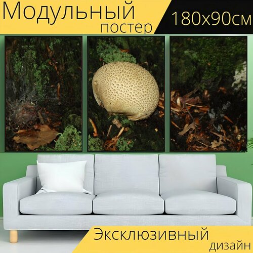 Модульный постер "Лес, гриб, природа" 180 x 90 см. для интерьера