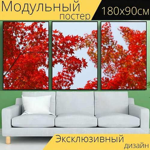 Модульный постер "Осень, осенние листья, падение" 180 x 90 см. для интерьера
