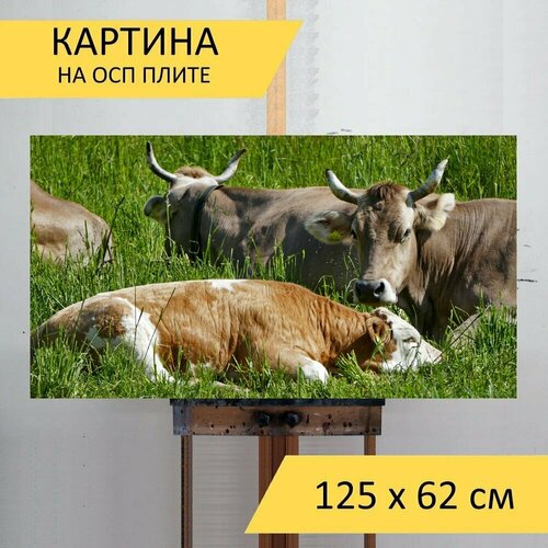 Картина на ОСП 125х62 см. "Пейзаж, природа, луг" горизонтальная, для интерьера, с креплениями