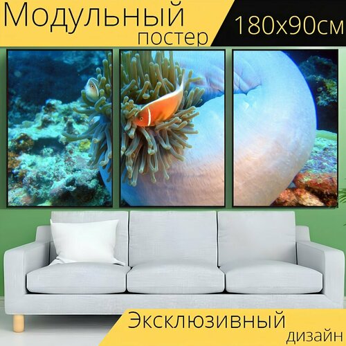 Модульный постер "Рыба клоун, подводный, морской" 180 x 90 см. для интерьера