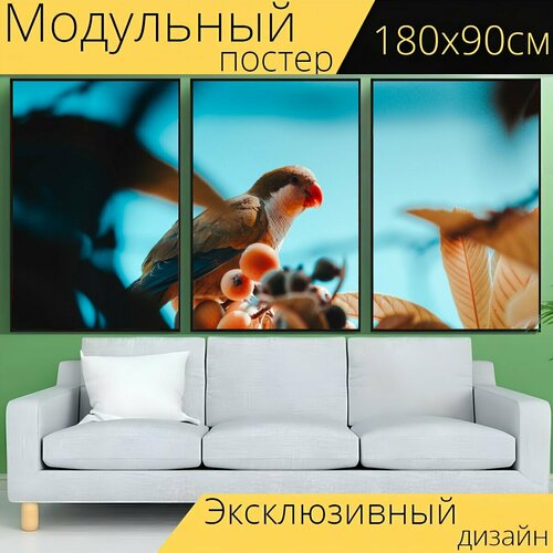 Модульный постер "Природа, птица, попугай" 180 x 90 см. для интерьера