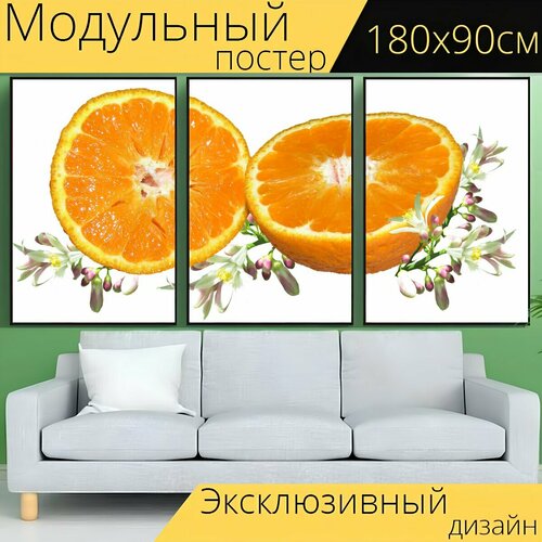 Модульный постер "Фрукты, апельсин, цвести" 180 x 90 см. для интерьера