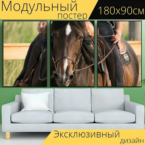 Модульный постер "Лошадь, животное, браун" 180 x 90 см. для интерьера
