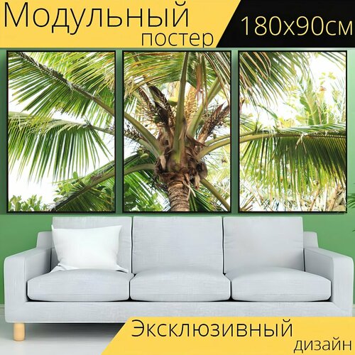 Модульный постер "Керала, пальма, кокосовое дерево" 180 x 90 см. для интерьера
