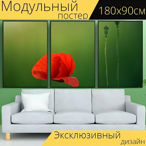 Модульный постер "Цветок, природа, завод" 180 x 90 см. для интерьера
