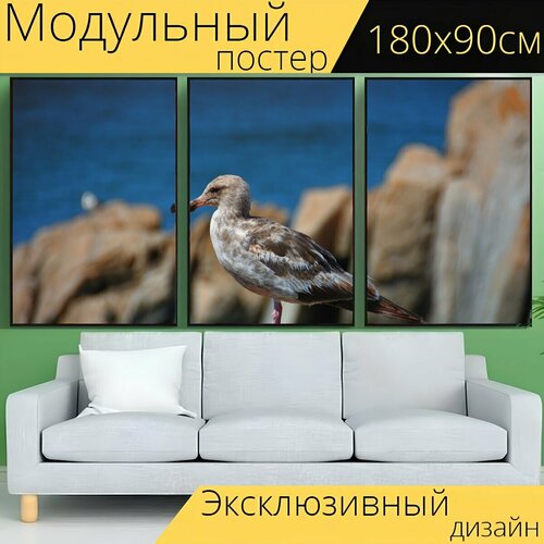Модульный постер "Чайка, природа, птица" 180 x 90 см. для интерьера