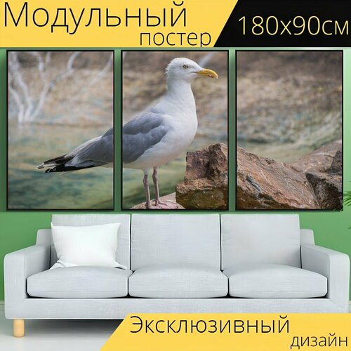 Модульный постер "Чайка, птица, природа" 180 x 90 см. для интерьера