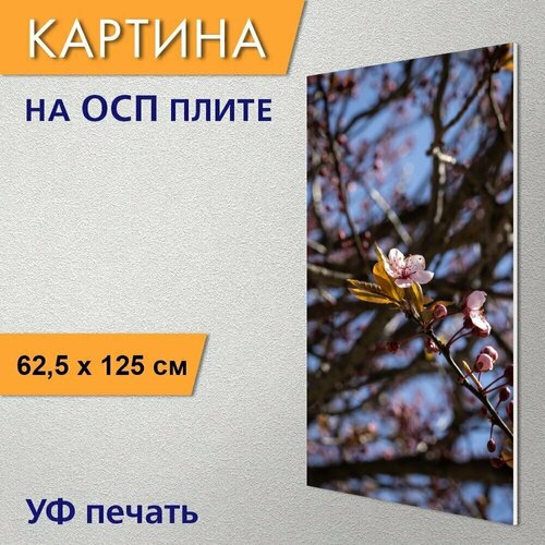 Вертикальная картина на ОСП "Сливы цветок, бутоны, филиал" 62x125 см. для интерьериа