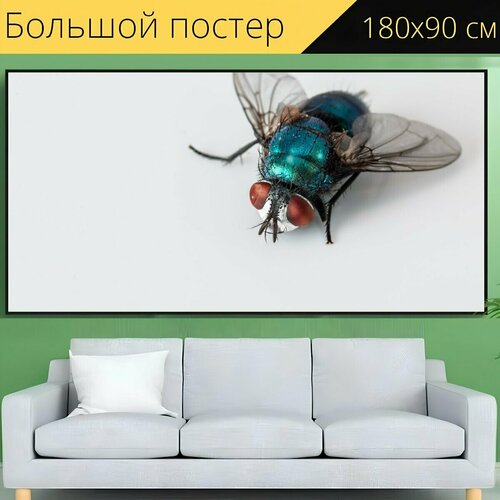 Большой постер "Мясная муха, синяя бутылка муха, насекомое" 180 x 90 см. для интерьера