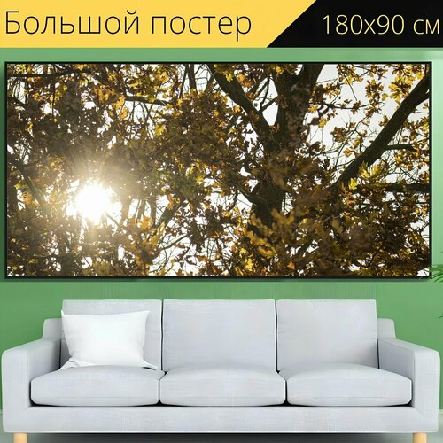 Большой постер "Дерево, ветви, солнечный свет" 180 x 90 см. для интерьера