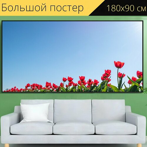 Большой постер "Тюльпан, тюльпаны, цветы" 180 x 90 см. для интерьера