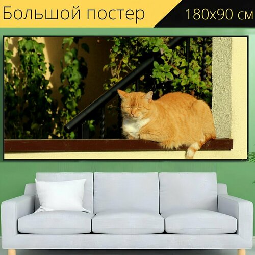 Большой постер "Кошка, котенок, рыжий кот" 180 x 90 см. для интерьера