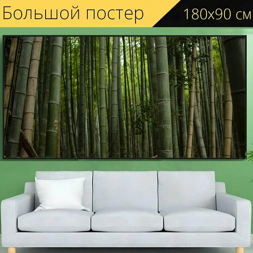 Большой постер "Бамбук, лес, зеленый" 180 x 90 см. для интерьера