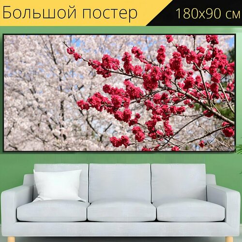 Большой постер "Цветы, вишни в цвету, дерево" 180 x 90 см. для интерьера