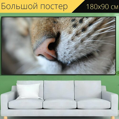 Большой постер "Кошка, кошачий, нос" 180 x 90 см. для интерьера