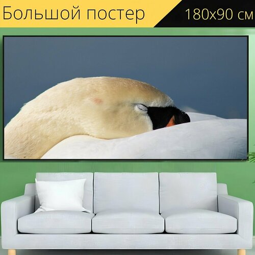 Большой постер "Лебедь, немой лебедь, усталый" 180 x 90 см. для интерьера