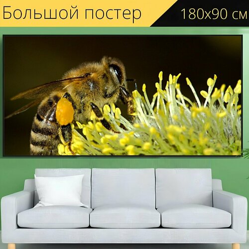Большой постер "Пчела, насекомое, нектар" 180 x 90 см. для интерьера