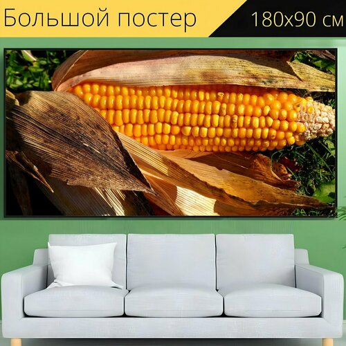 Большой постер "Кукуруза, овощи, еда" 180 x 90 см. для интерьера