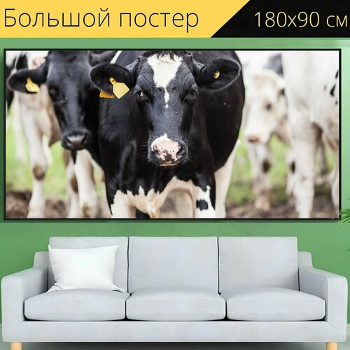 Большой постер "Корова, животное, молоко" 180 x 90 см. для интерьера