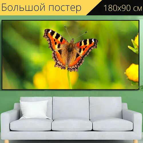 Большой постер "Бабочка, природа, цветок" 180 x 90 см. для интерьера