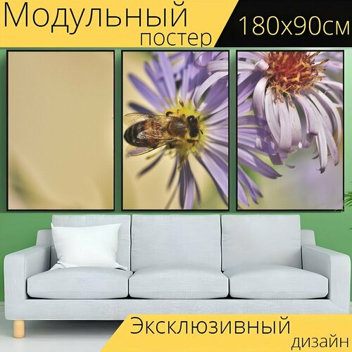 Модульный постер "Пчела, насекомое, астра" 180 x 90 см. для интерьера
