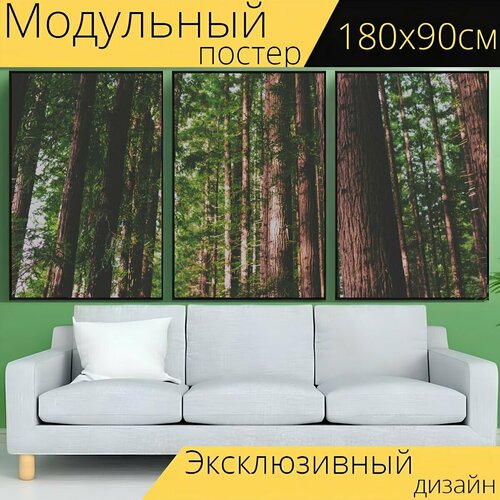 Модульный постер "Лаять, лес, листья" 180 x 90 см. для интерьера