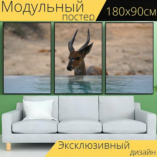 Модульный постер "Антилопа, животное, сафари" 180 x 90 см. для интерьера