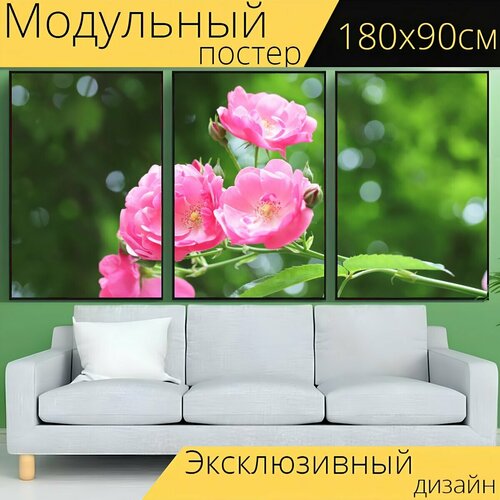 Модульный постер "Роза, цветок, довольно цветы" 180 x 90 см. для интерьера