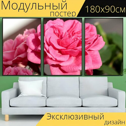 Модульный постер "Роза, лепестки роз, романтичный" 180 x 90 см. для интерьера