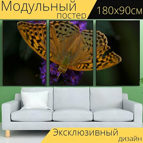 Модульный постер "Бабочка, апельсин, насекомое" 180 x 90 см. для интерьера