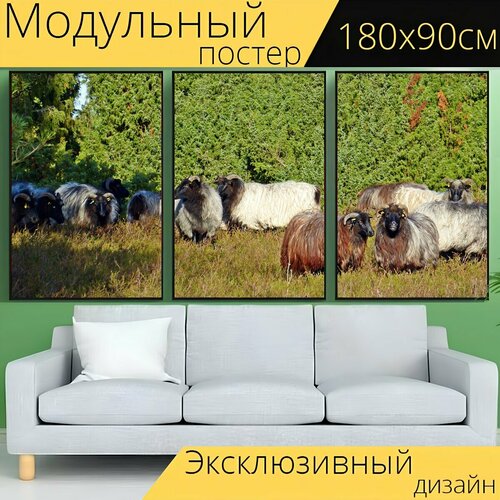 Модульный постер "Стадо овец, стадо, язычник" 180 x 90 см. для интерьера