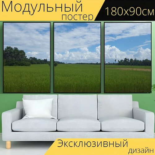 Модульный постер "Камбоджа, рисовые поля, уборка урожая" 180 x 90 см. для интерьера