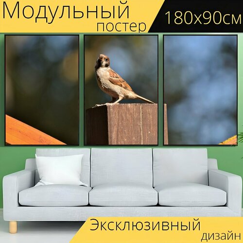 Модульный постер "Воробей, сперлинг, птица" 180 x 90 см. для интерьера