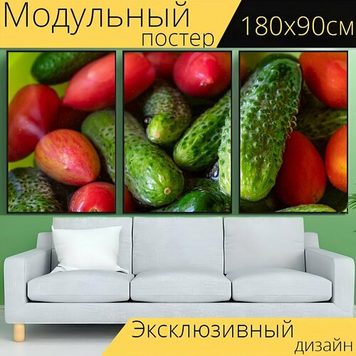 Модульный постер "Помидоры, огурцы, овощи" 180 x 90 см. для интерьера