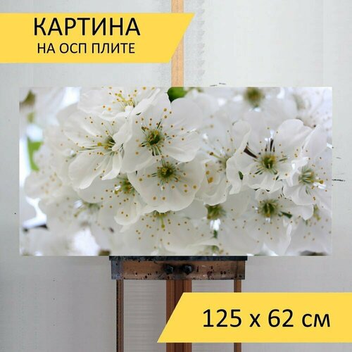 Картина на ОСП 125х62 см. "Флора, белый, дерево" горизонтальная, для интерьера, с креплениями
