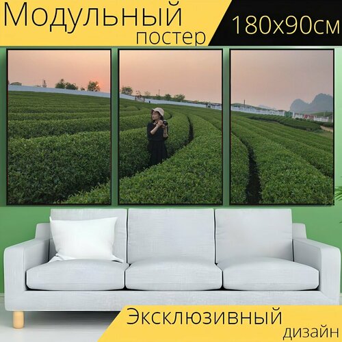 Модульный постер "Чай, поле, камера" 180 x 90 см. для интерьера