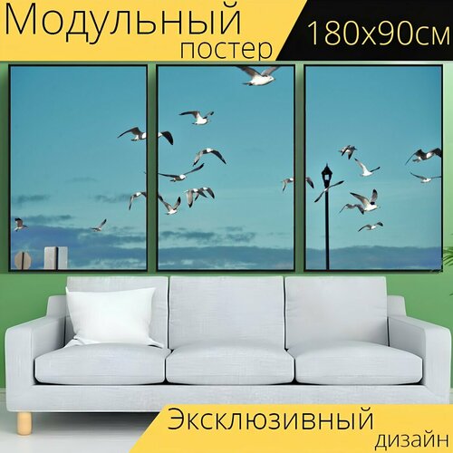 Модульный постер "Стая чаек, птицы, летающий" 180 x 90 см. для интерьера