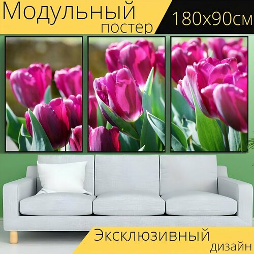 Модульный постер "Тюльпаны, розовый, расцветает" 180 x 90 см. для интерьера