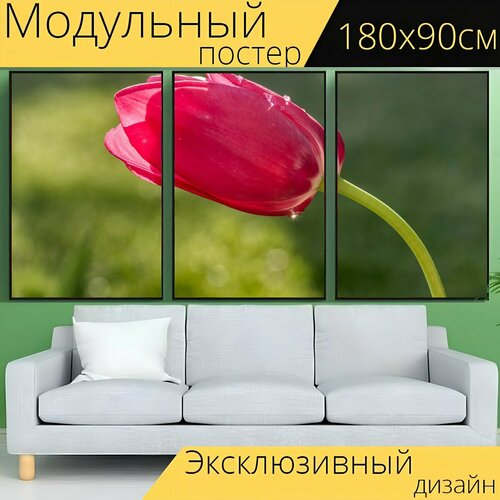 Модульный постер "Тюльпаны, красный, полупрозрачный" 180 x 90 см. для интерьера