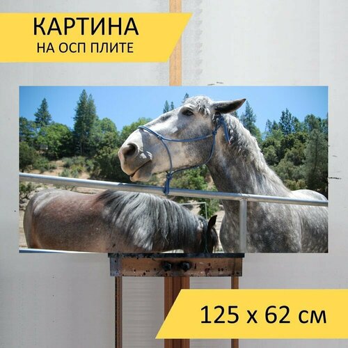 Картина на ОСП 125х62 см. "Лошадь, конный спорт, грива" горизонтальная, для интерьера, с креплениями