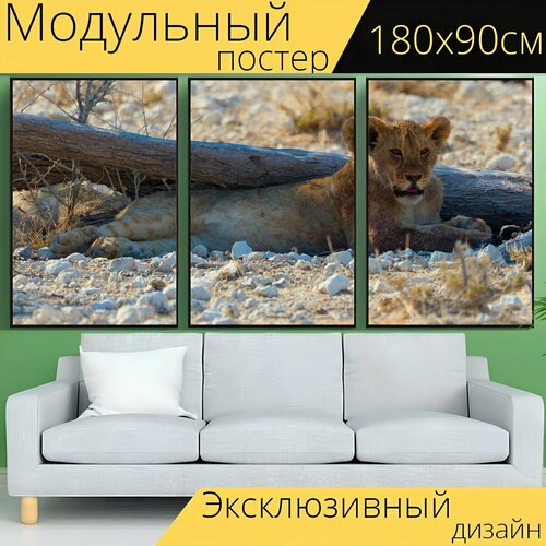 Модульный постер "Лев, кошачий, дикая кошка" 180 x 90 см. для интерьера
