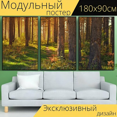 Модульный постер "Лес, деревья, сундуки" 180 x 90 см. для интерьера