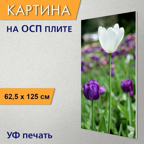 Вертикальная картина на ОСП "Тюльпан, цветок, флора" 62x125 см. для интерьериа