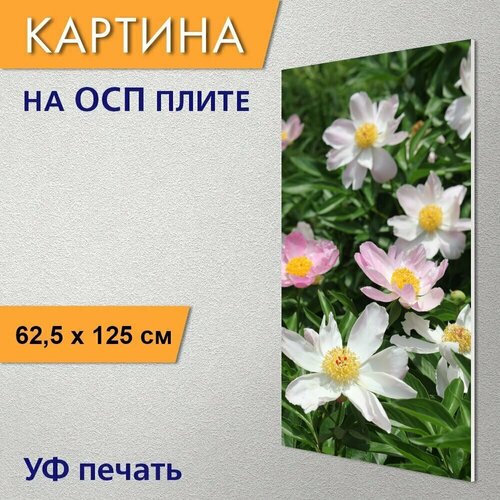 Вертикальная картина на ОСП "Цветет, цветы, природа" 62x125 см. для интерьериа