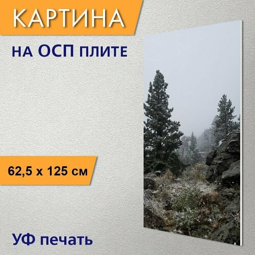 Вертикальная картина на ОСП "Зима, туман, большой рог гор" 62x125 см. для интерьериа