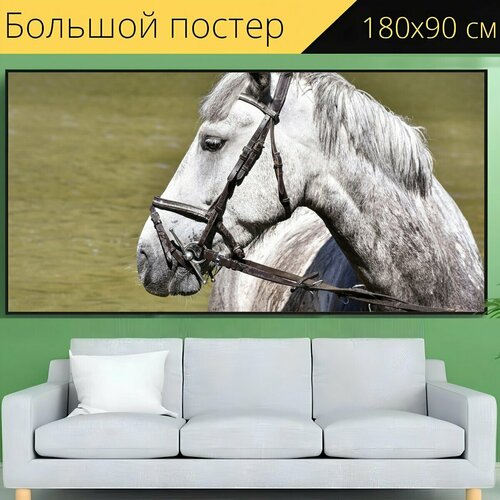 Большой постер "Лошадь, белая лошадь, животное" 180 x 90 см. для интерьера