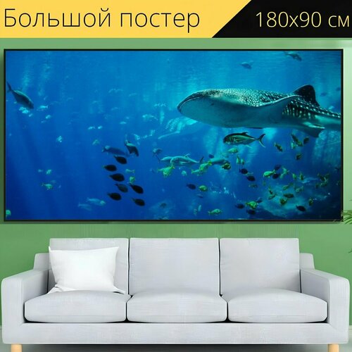 Большой постер "Китовая акула, акула, аквариум" 180 x 90 см. для интерьера