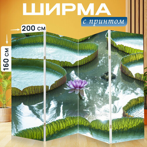 Ширма перегородка с принтом "Лотос, цветок, природа" на холсте - 200x160 см. для зонирования, раскладная
