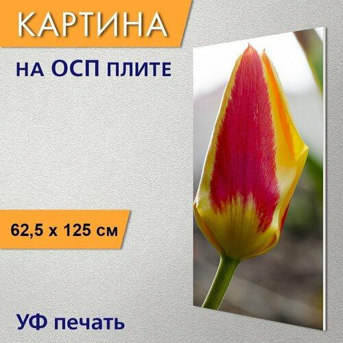 Вертикальная картина на ОСП "Тюльпан, цветок, весна" 62x125 см. для интерьериа