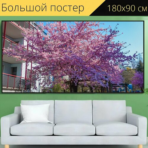 Большой постер "Дерево, расцветает, вишни в цвету" 180 x 90 см. для интерьера